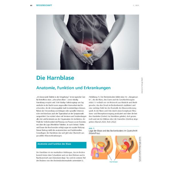 Die Harnblase (Teil 1 + 2) - Download
